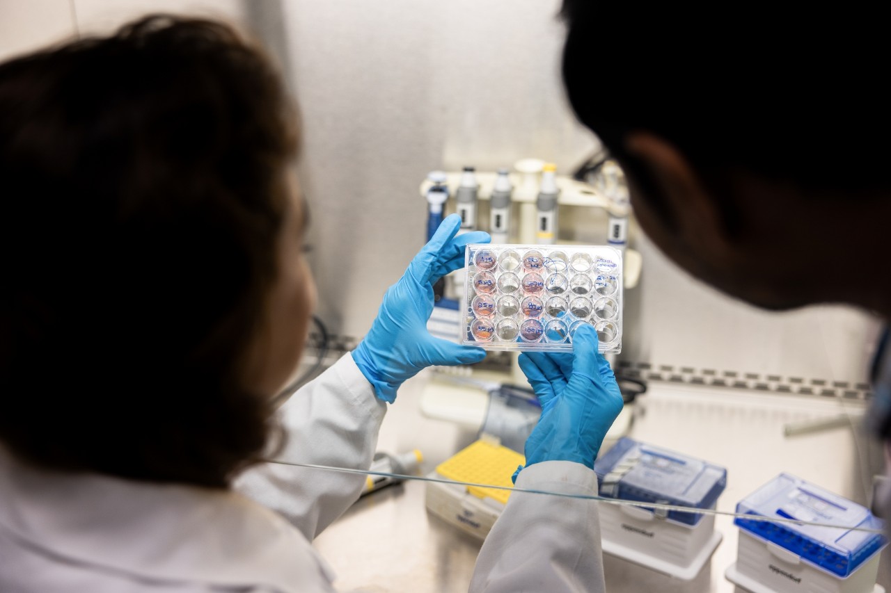 New Light-Based Nanotechnology Could Enable More Precise, Less Harmful ...