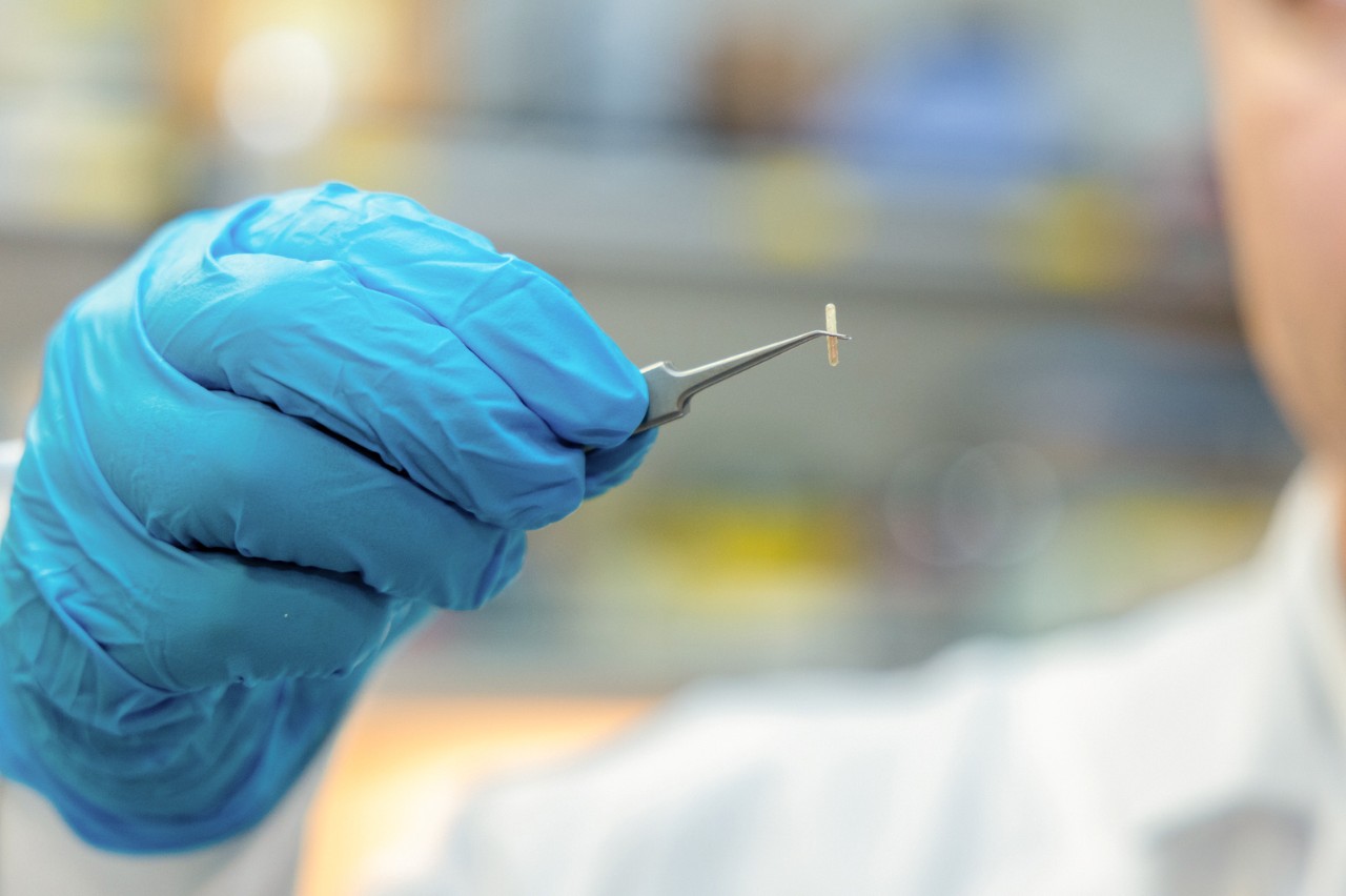 NYU Abu Dhabi and Cleveland Clinic Abu Dhabi Researchers Develop ...