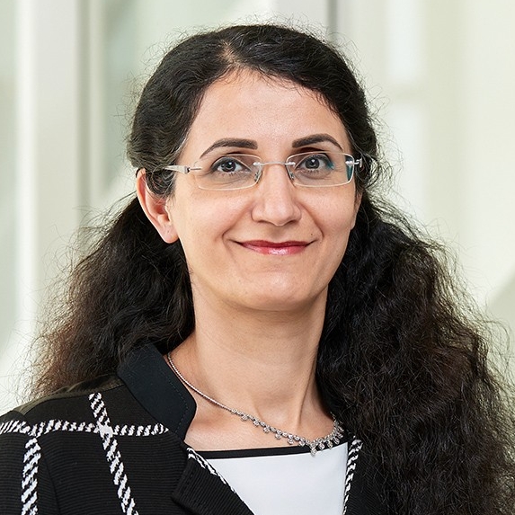 Azam Gholami - NYU Abu Dhabi