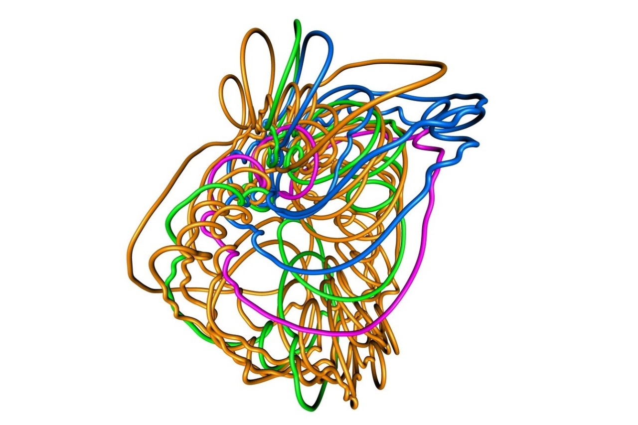 Turbulent Quantum Fluids IV - NYU Abu Dhabi