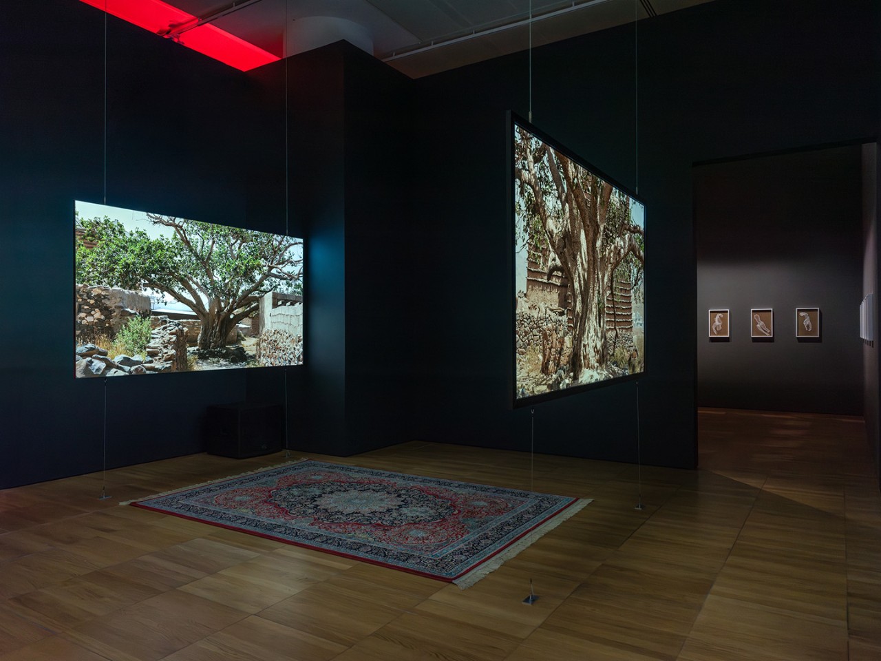 NYU Abu Dhabi Extends its First-Ever Gulf Quinquennial - NYU Abu Dhabi