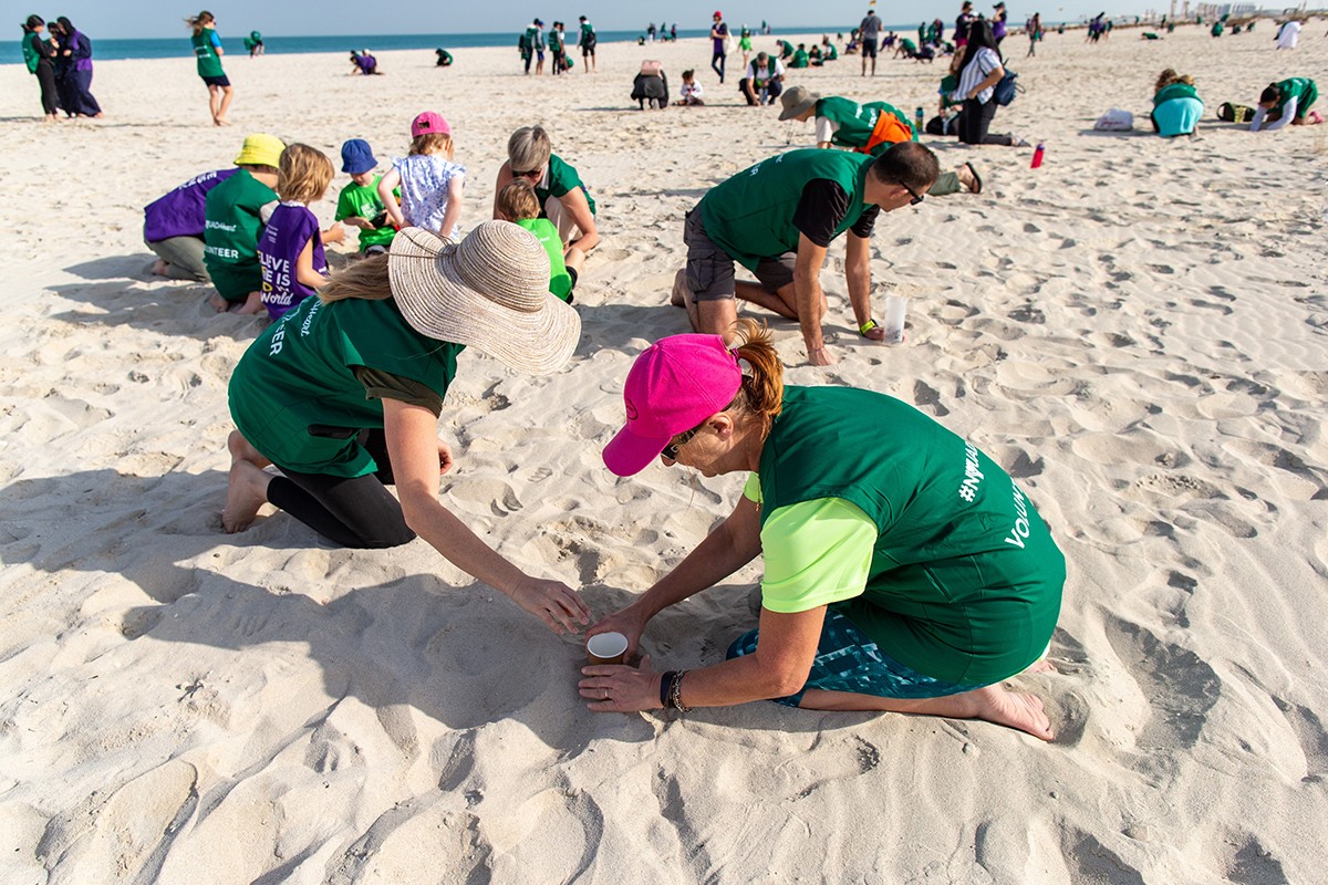 NYUAD's Great Nurdle Hunt Attracts over 200 Volunteers - NYU Abu Dhabi