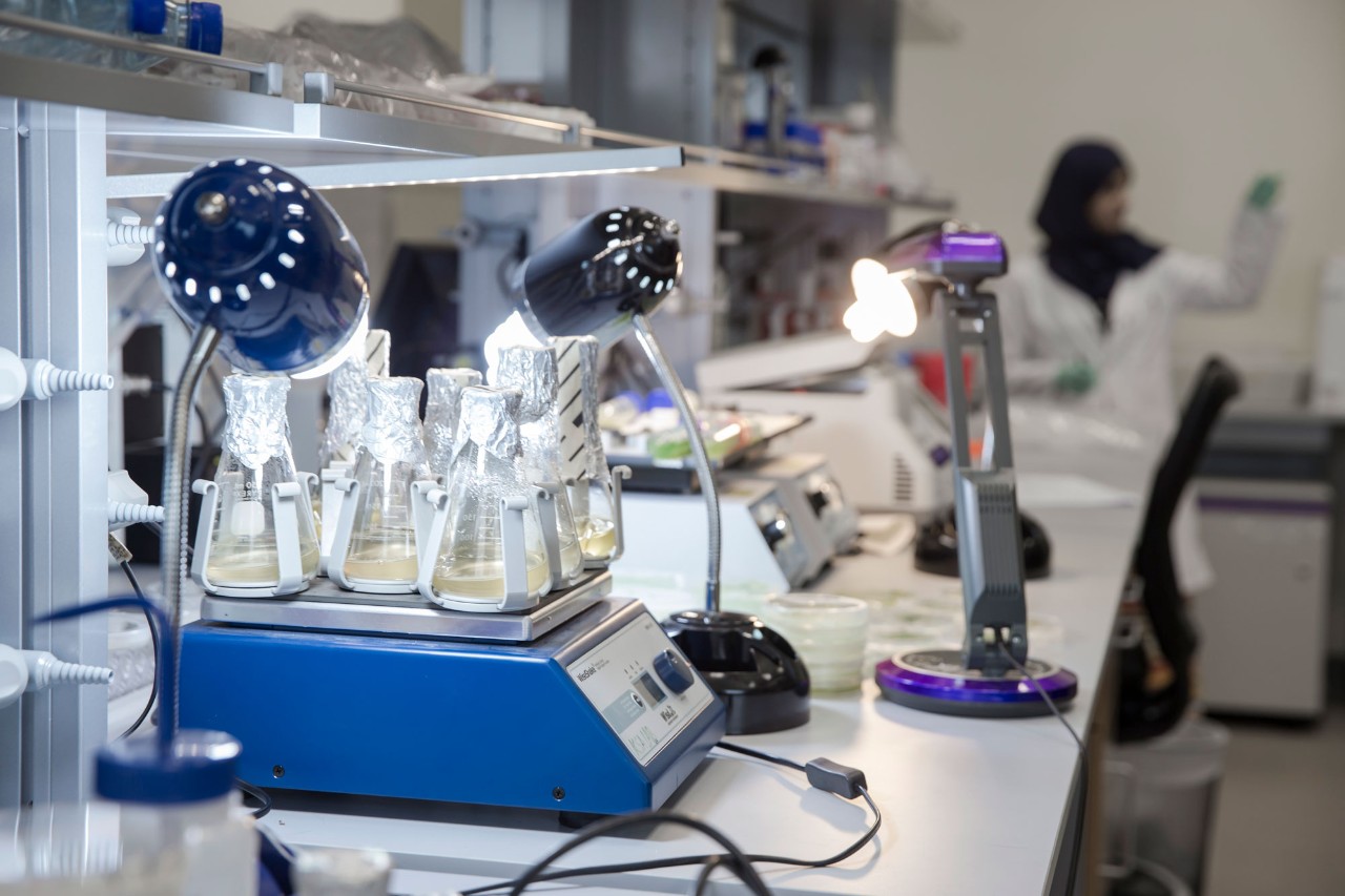 UAE Innovation Week Coming This Fall - NYU Abu Dhabi