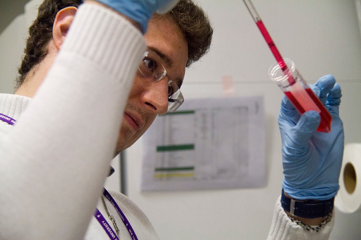 Specialized Lab Aims to Advance Liver Disease Research - NYU Abu Dhabi