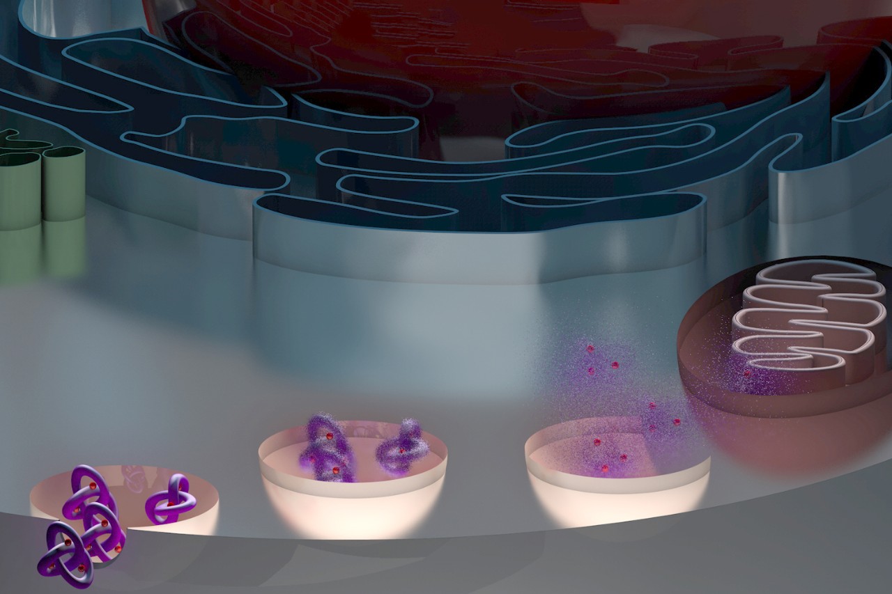 Researchers Develop Hybrid Molecules that Could Serve as Anti-cancer ...