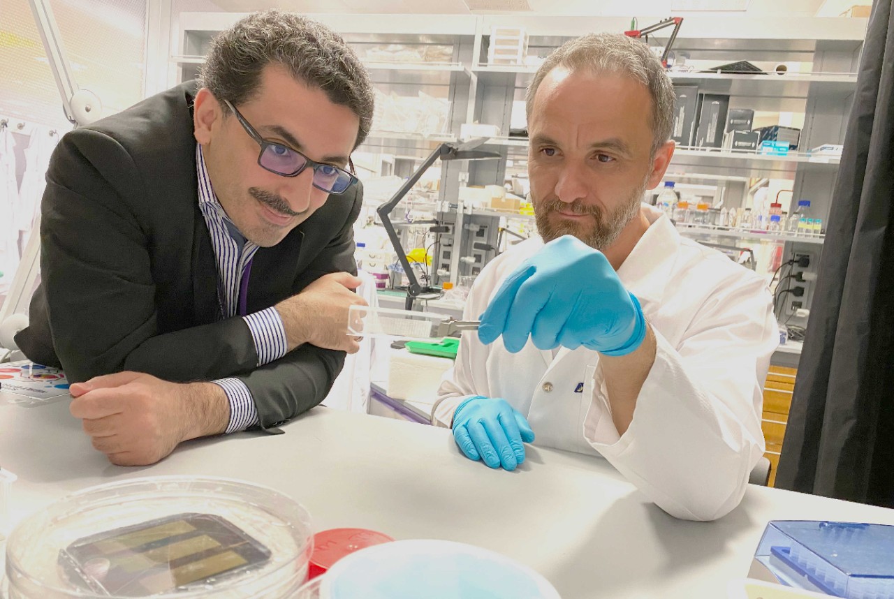 NYUAD Researchers Develop New Tool for Performing Cancer Liquid Biopsy ...
