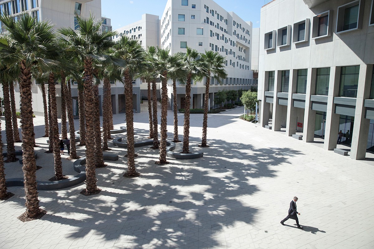 NYUAD Establishes the Transition Investment Lab, In Collaboration with ...