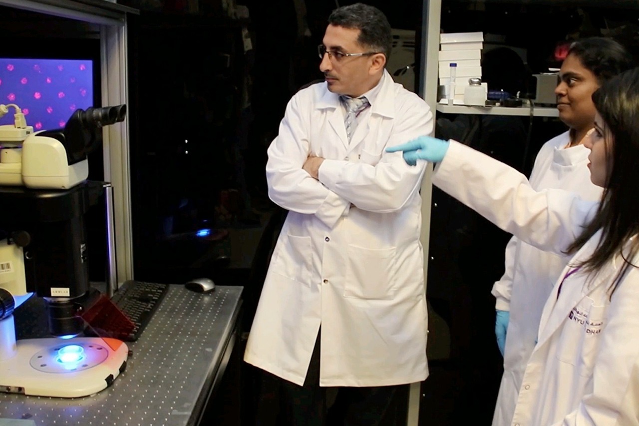 Researchers Develop Novel 3D Atomic Force Microscopy Probes - NYU Abu Dhabi