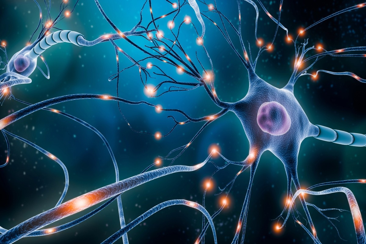 NYU Abu Dhabi and University of Denver Researchers Identify Promising ...