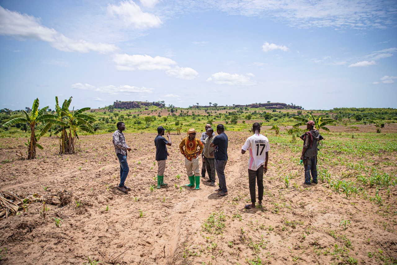 Planting Seeds of Change - NYU Abu Dhabi